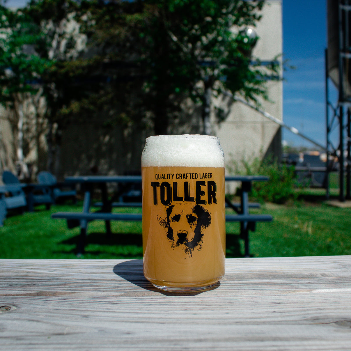 Toller Can Glass – Burnside Brewing Company